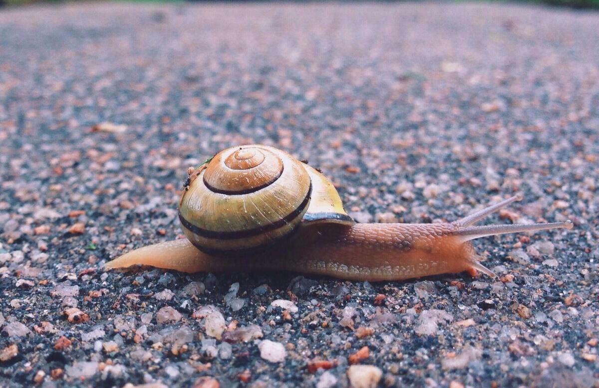 Trofeo Lumaca 2022, le auto più lente che abbiamo provato quest'anno ...